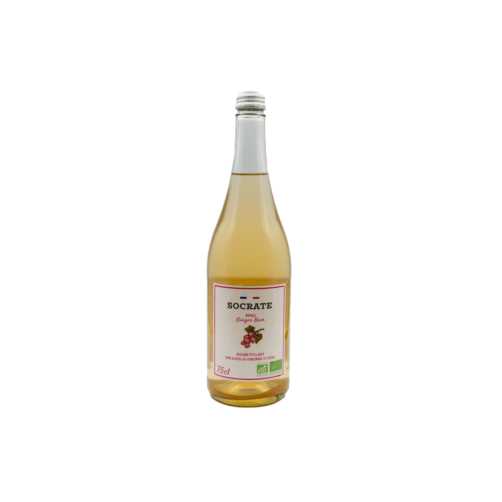 GINGER BEER CASSIS BIO
